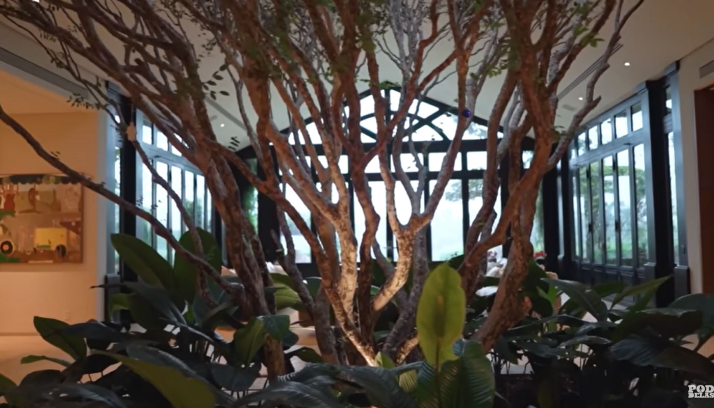 Quem é Karla Cimed? Empresária é filha de fundador de farmacêutica e faz sucesso na web - Zappeando