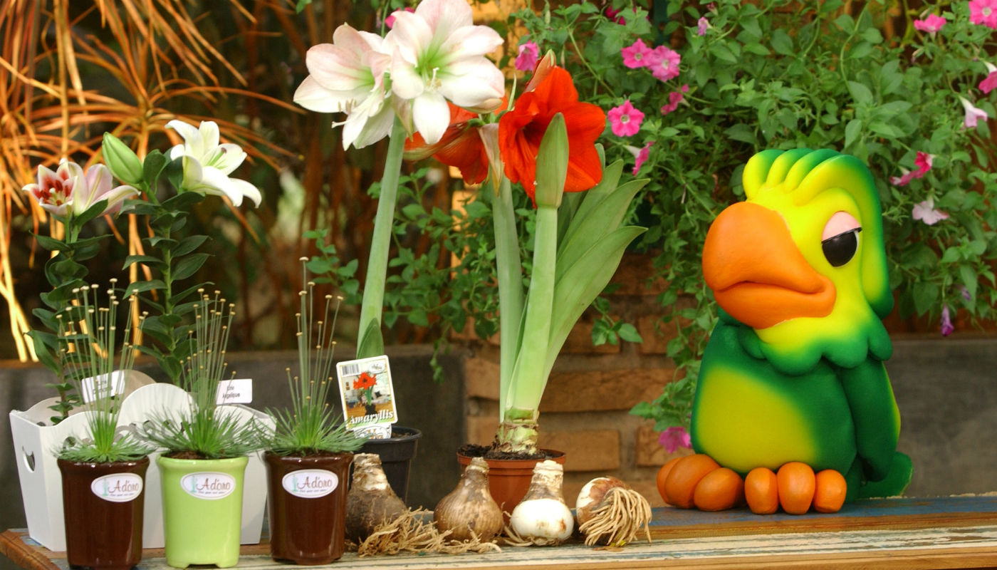 7 momentos inesquecíveis do Louro José que provam o talento e o humor ...